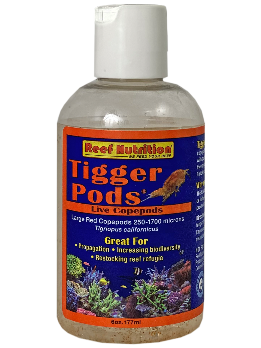 Tigger-Pods | Tigriopus californicus | Live Copepods for Sale | Buy ...