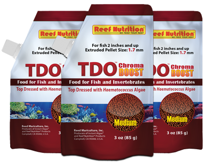 Reef Nutrition | Best Aquarium Food for a Healthy Spectacular Tank