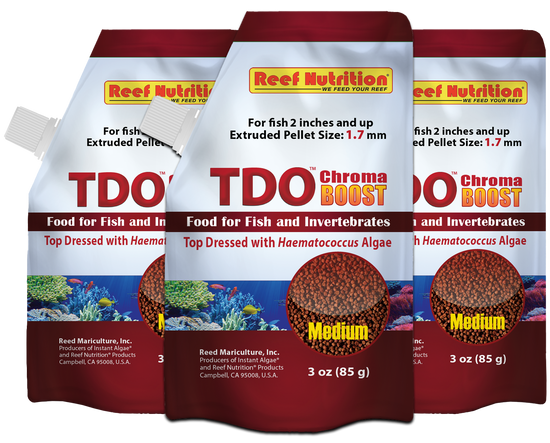 Reef Nutrition | Best Aquarium Food for a Healthy Spectacular Tank