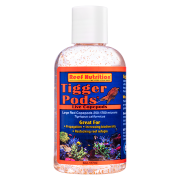 Reef Nutrition | Best Aquarium Food for a Healthy Spectacular Tank
