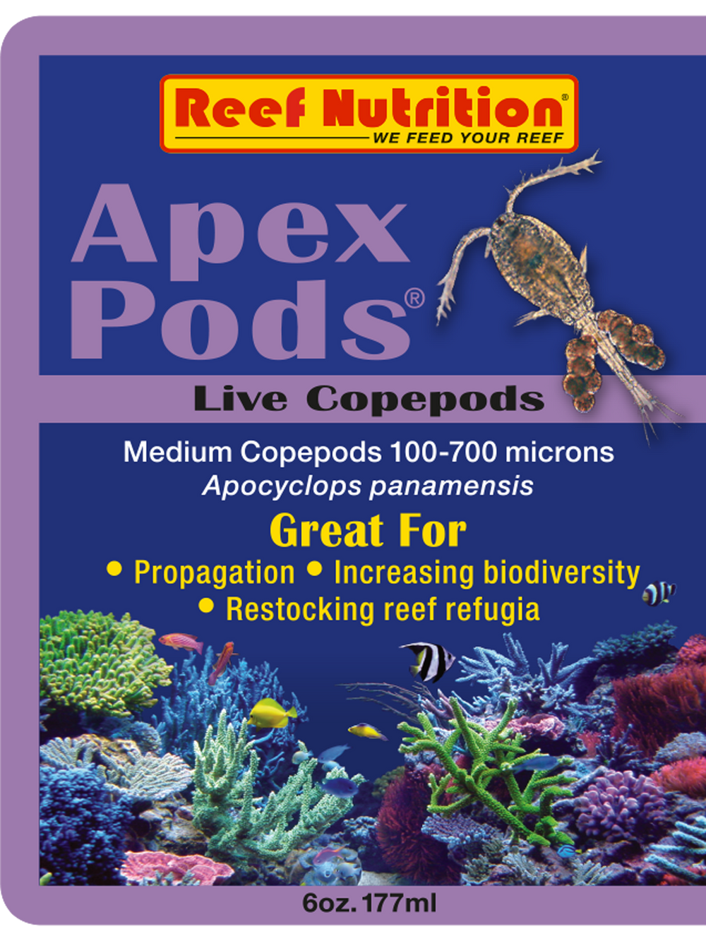 APEX-PODS™ | Apocyclops panamensis | Live Copepods for Sale | Buy Pods ...