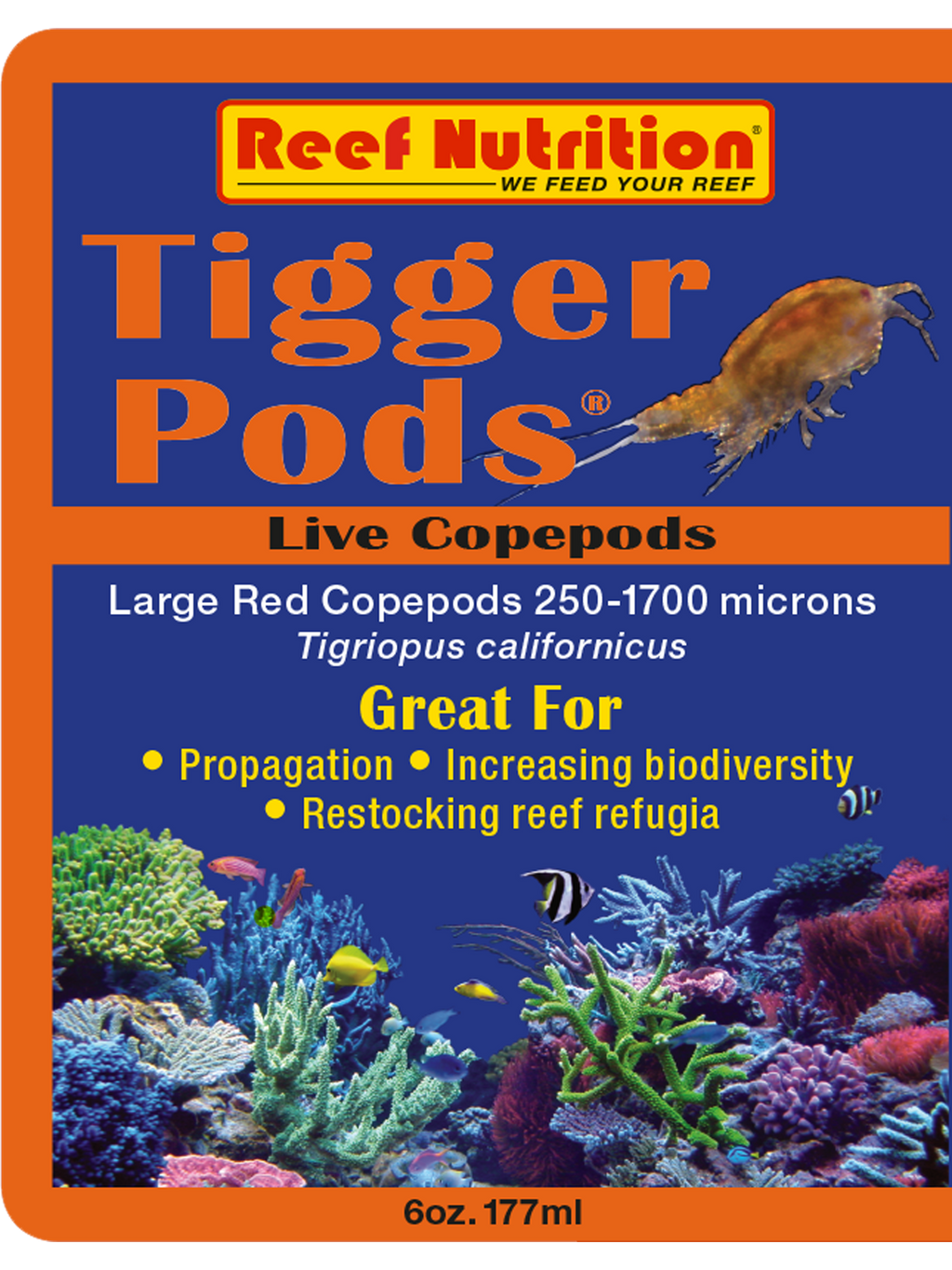 Tigger-Pods | Tigriopus californicus | Live Copepods for Sale | Buy ...
